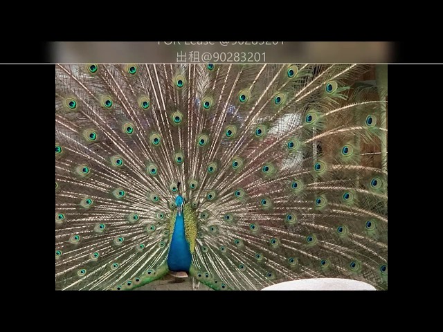 Warehouse for Rent in Mactech Building - 1,195 sqft | 99.co