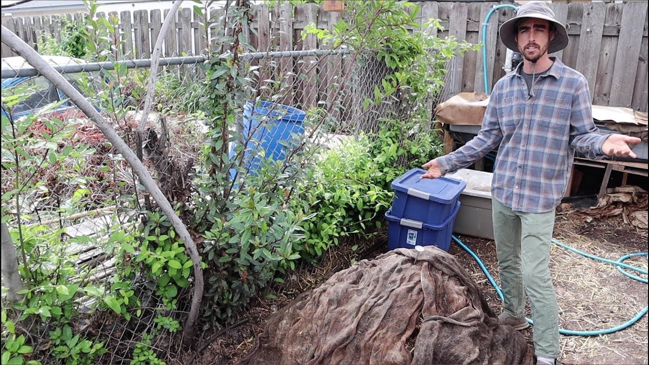 Closed-Loop Fertility?