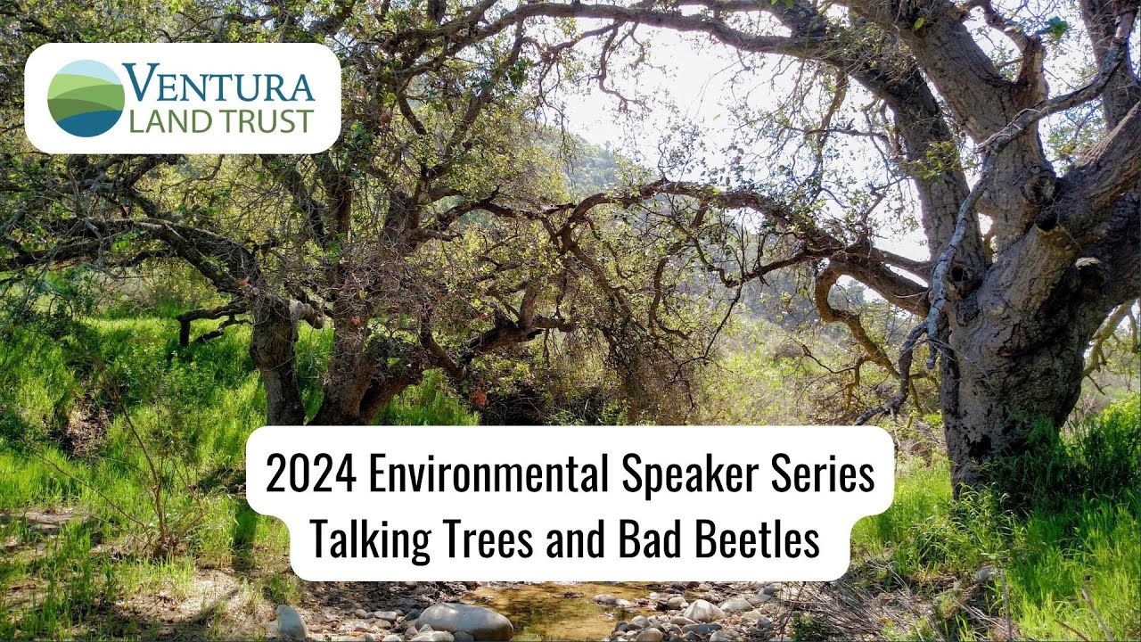 Environmental Speaker Series 2024: Talking Trees and Bad Beetles