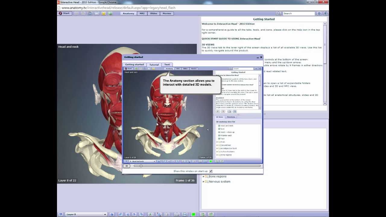 Getting Started - Anatomy.TV