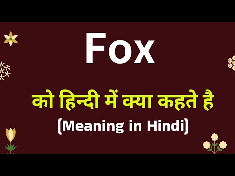 Fox meaning in hindi || fox ka matlab kya hota hai || word meaning english to hindi
