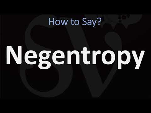 How to Pronounce Negentropy? (CORRECTLY)