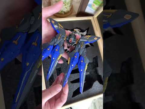 Keeping MGEX Strike Freedom Gundam in Box #gundam #gunpla #gunplacustom #gunplabuilder #gundamseed