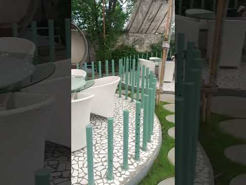 Atmospheria the courtyard kitchen Raipur...😍#shorts #trending #youtubeshorts