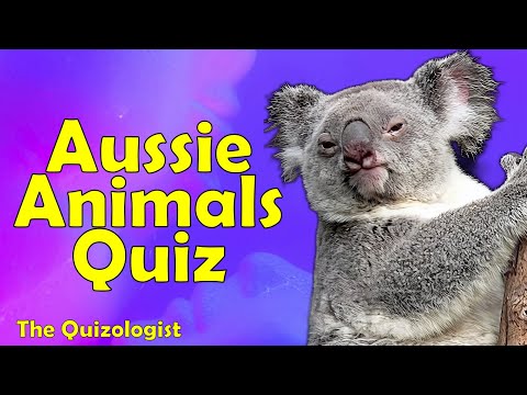 Name the Australian Animals Quiz
