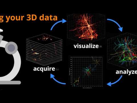 Imaris Tutorials | Parnassus Advanced Light Microscopy CoLab