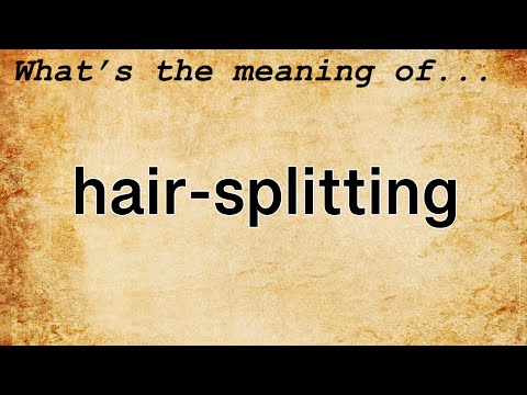 Hair-Splitting Meaning : Definition of Hair-Splitting