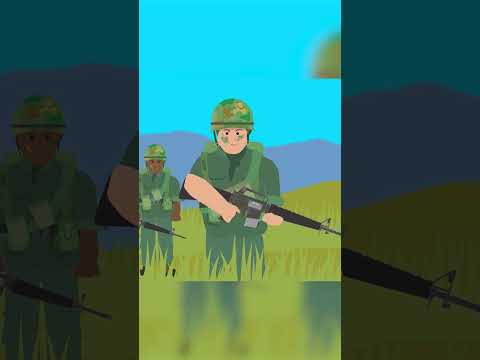 M16A1 Rifle (U.S Infantry weapons of Vietnam War)