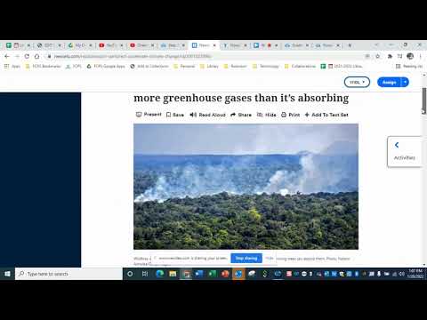 Citing a Website (Newsela)