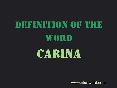 Definition of the word "Carina"