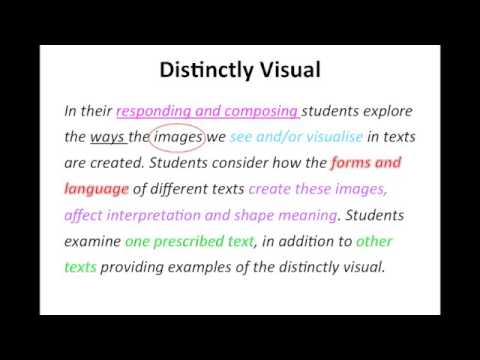 Distinctly Visual - Unpacking the Syllabus
