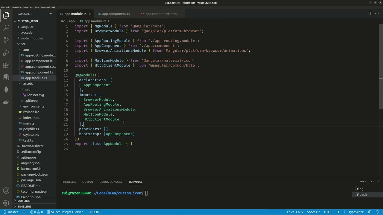 How to use custom svg icons in Angular