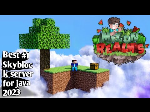 The Best Skyblock Server for 2023 (with Economy)