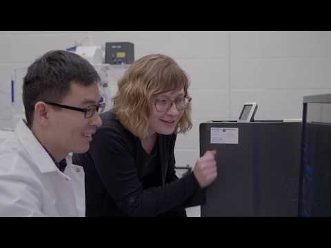 Shape Shifters: Inside Karen Kasza’s Living Materials Lab