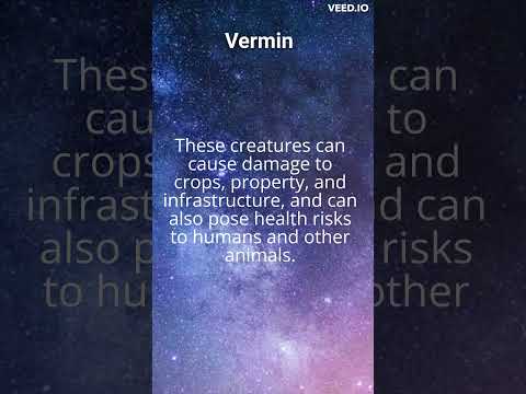 Word Of The Day | 88 | Meaning of Vermin
