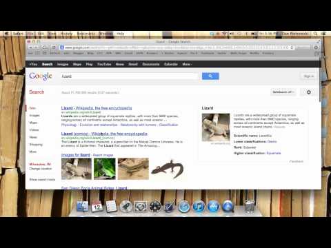 Searching for Copyright Free Images with Google