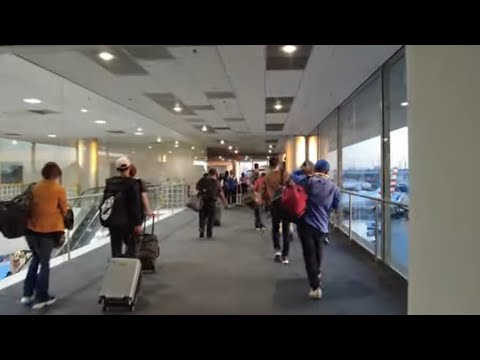 Miami Airport International Arrival 2025
