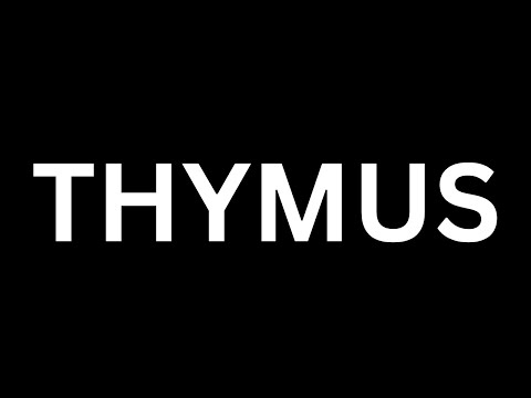 How to Pronounce '' Thymus'' in English language? |How to say Thymus?|