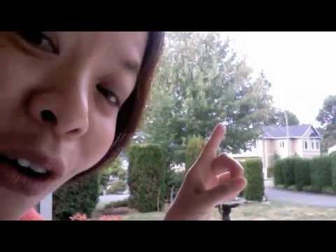 Chinese Mandarin Word for Wind