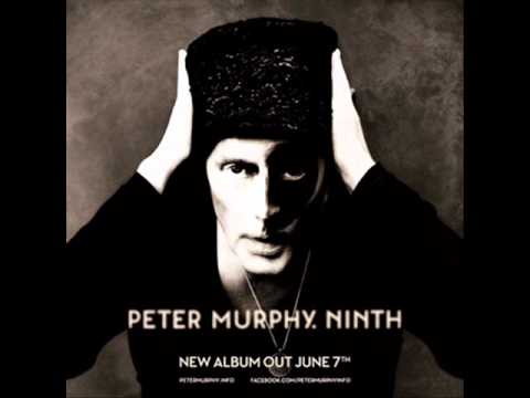 Peter Murphy New Album ‘NINTH’ Release Date June 6th | Accidental Bear