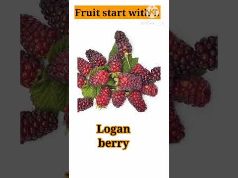 fruit start with L#fruit #fruitvocabulary #learnenglish #shortsfeed@comenlearn27