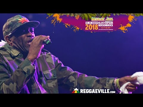 Wickerman @ Reggae Jam Festival 2018