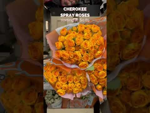 Mayesh Minute: Dutch Deals October 31