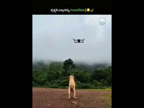 nature #viral #kannada