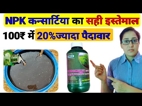 Agricultural Fertilizers - Cansortiya Iffco Npk Retailer from Balrampur