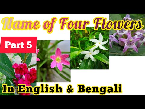 ৪টে ফুলের নাম শিখে নেই এসো || Name of 4 Flowers in English and Bengali || Part 5 || শিক্ষার Academy