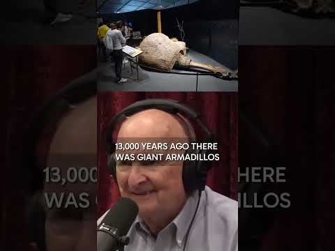 Giant Armadillos The Size Of A Volkswagen - Joe Rogan