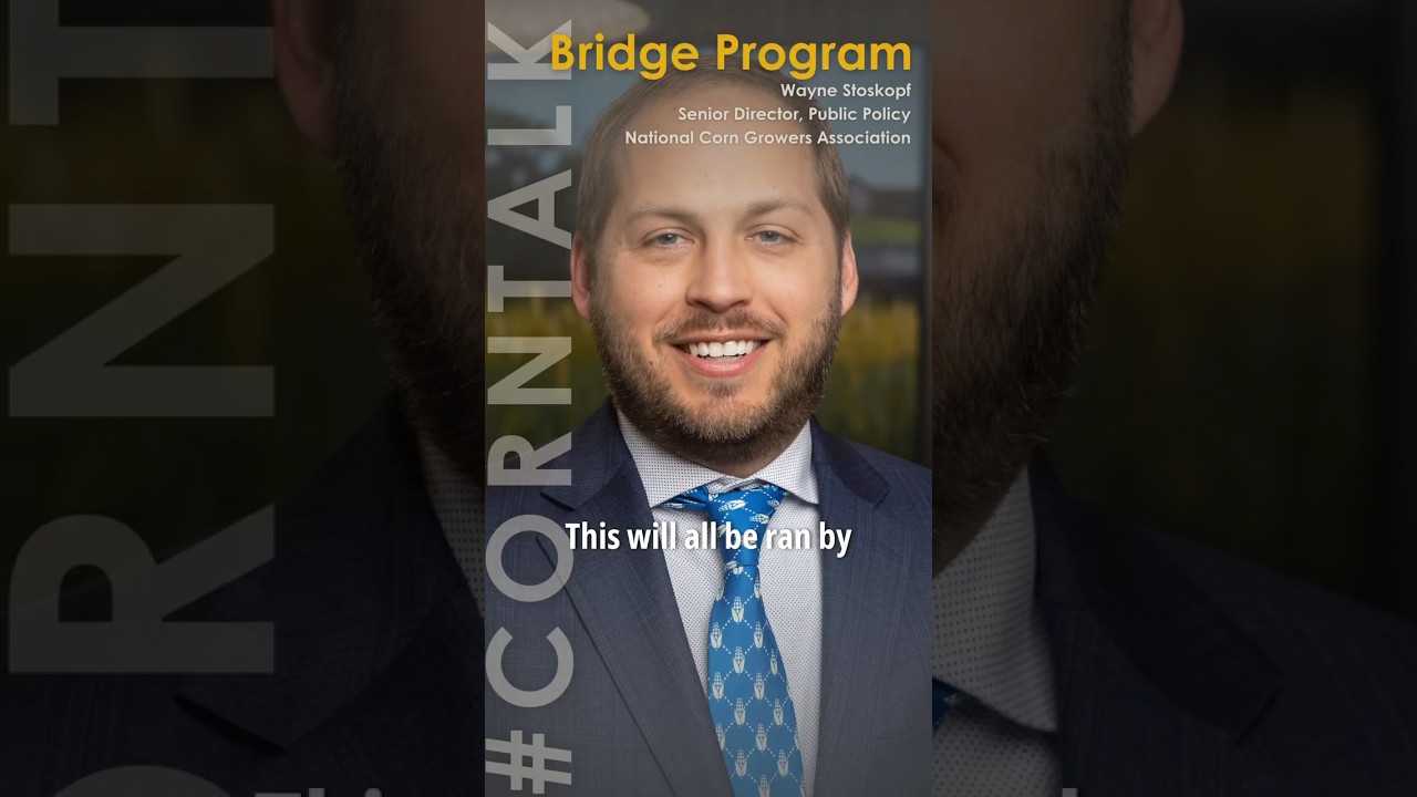 What you need to know about the Bridge Program announced earlier this week
