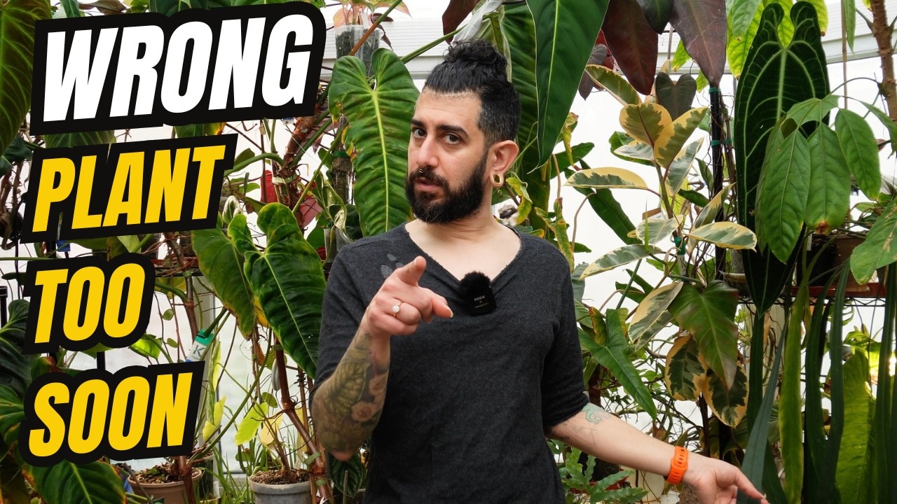 🌿 The Houseplants That Separate Beginners From REAL Collectors 😳