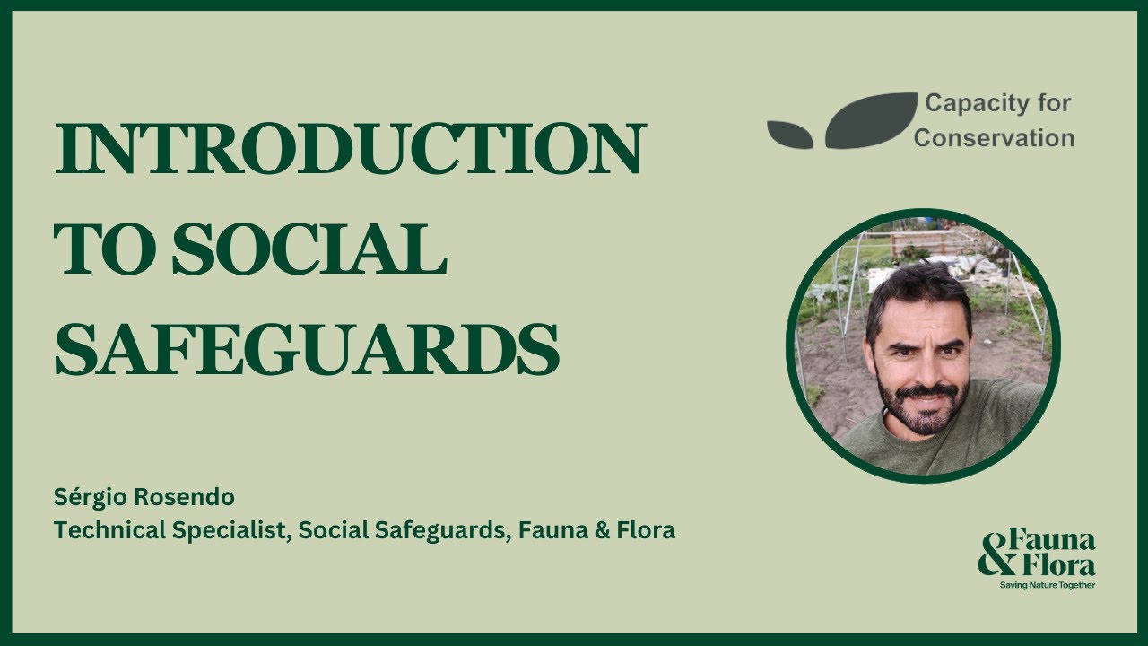 Social Safeguards