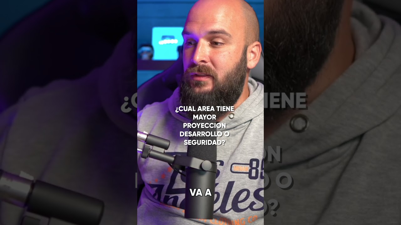 What has more potential: software development or computer security?