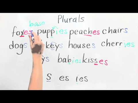 Lesson 8: base word endings,ing,er,est,ed,s,es,ies