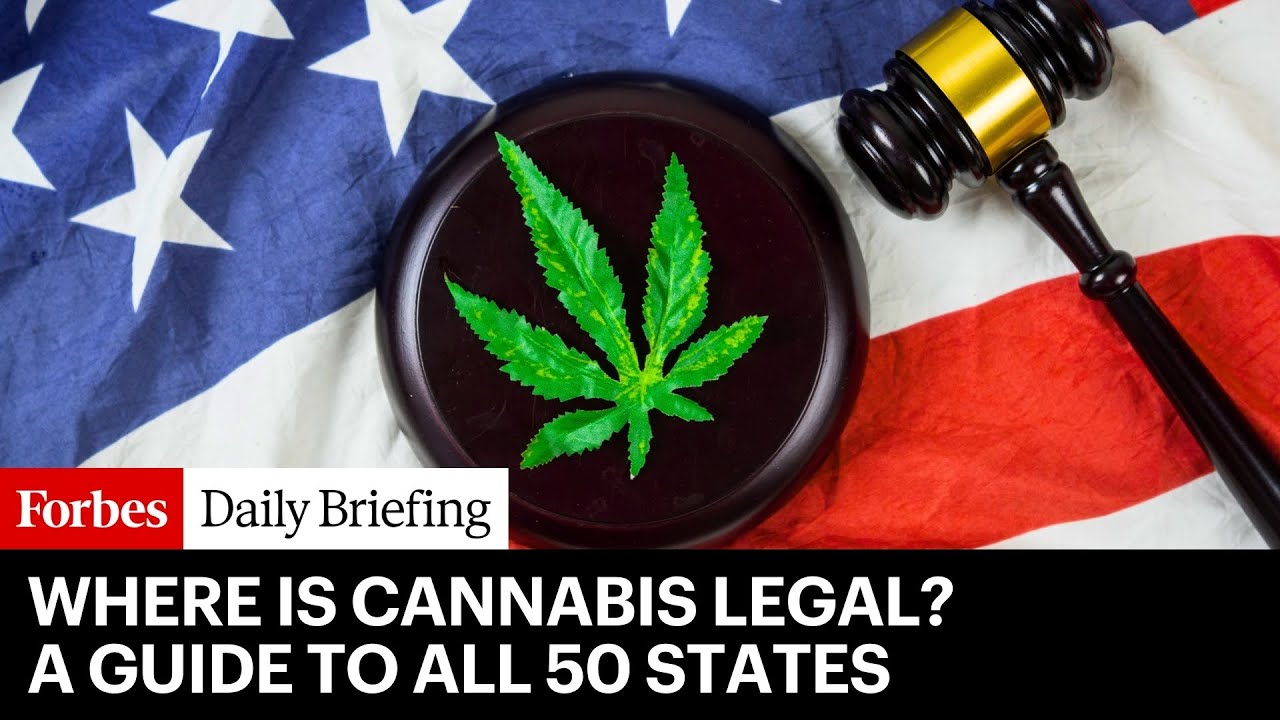 Where Is Cannabis Legal? A Guide To All 50 States