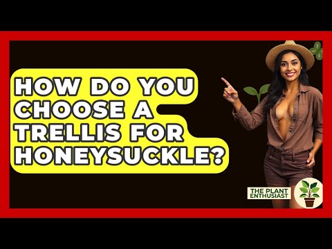 How Do You Choose A Trellis For Honeysuckle? - The Plant Enthusiast