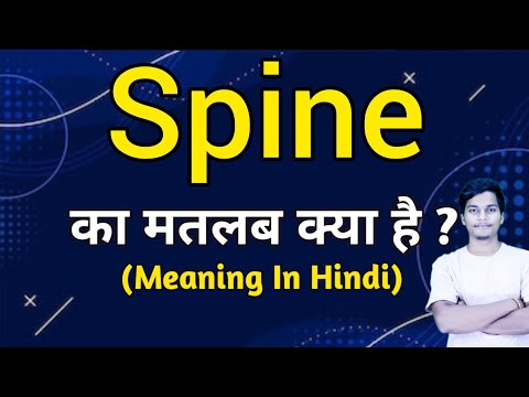 Spine meaning in hindi || spine ka matlab kya hota hai || word meaning english to hindi