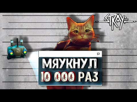 Steam Community :: Stray