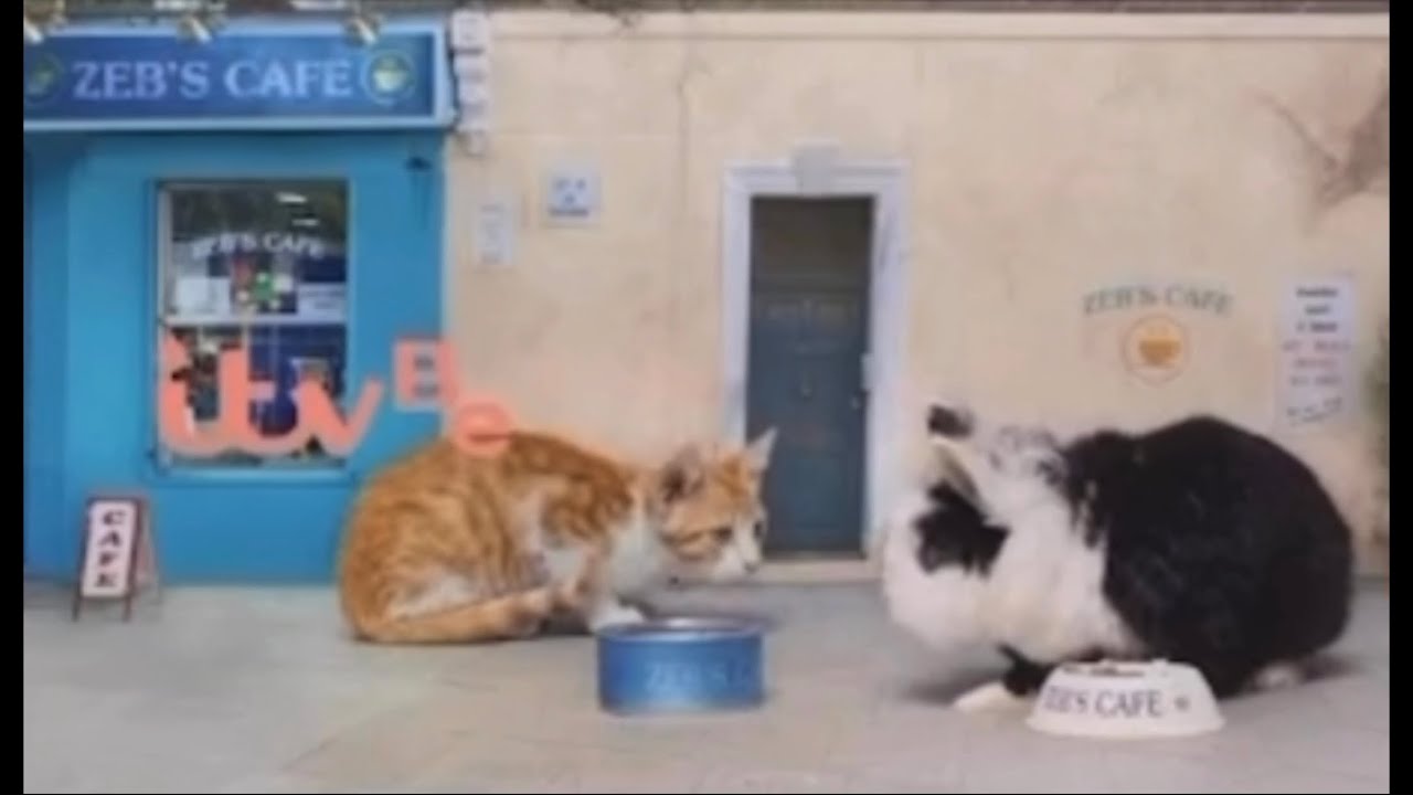 ITVBe Cafe Ident Full Version Low Quality