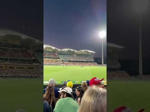 Live cricket match Australia bs West Indies #shorts #cricket #australia #live #viral #trending