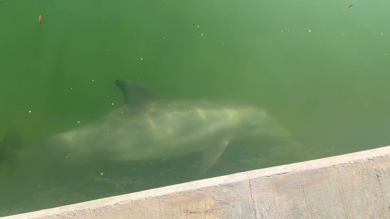 Life on Campus - Eckerd College
