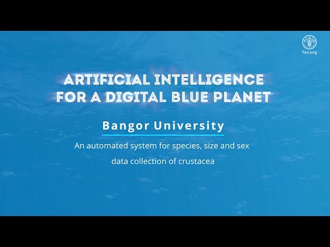 FAO AI4DBP An automated system for species, size and sex data collection of crustacea