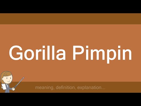 Gorilla Pimpin