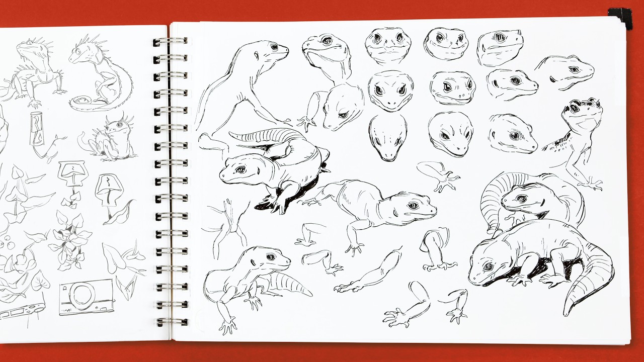 Sketchbooking to Build Your Visual Library