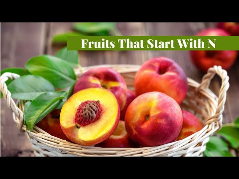 Fruits That Start With N | Name of Fruits || Healthier Steps
