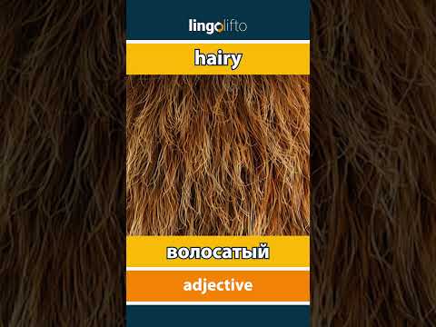 🇬🇧🇷🇺 hairy - волосатый : learn English : давайте учить английский : vocabulary builder