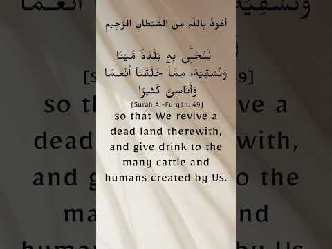#quran #surahfurqan #allah #muhammadﷺ #arabic #english
