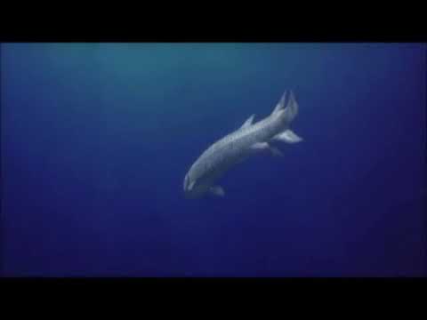 Placoderms with Sound